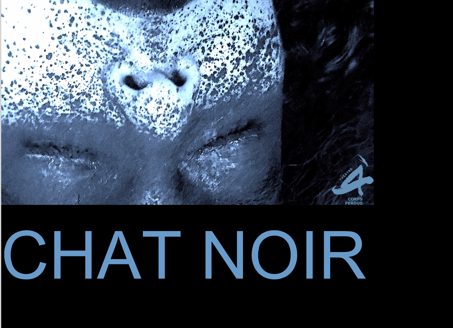 CHAT NOIR-Visuel-titre